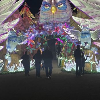 STOCKTON LANTERN FESTIVAL MAGIC FOREST - Updated October 2025 - 62 ...