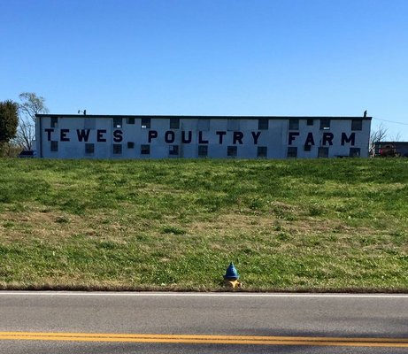 TEWES POULTRY FARM - Updated December 2025 - 12 Photos & 16 Reviews ...