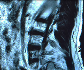 DR DEVIN BINDER - Updated January 2026 - 14 Photos & 72 Reviews - 9940 ...