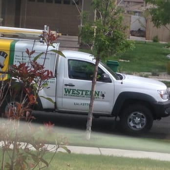 WESTERN EXTERMINATOR COMPANY - Updated January 2026 - 29 Photos & 45 ...