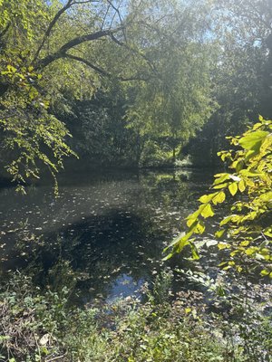 DANIELS RUN PARK - Updated December 2025 - 149 Photos & 12 Reviews ...