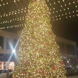 PRIME 47 CARMEL - Updated December 2025 - 445 Photos & 330 Reviews ...