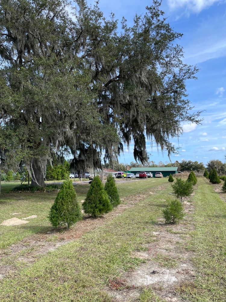 LAZY LAY ACRES - Updated October 2025 - 14920 Swift Rd, Dade City ...