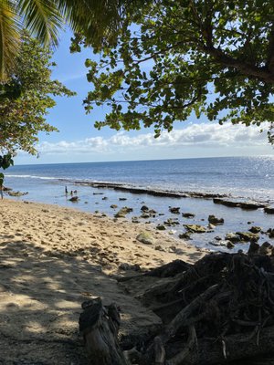 PLAYA ESCALERA - STEPS BEACH - Updated January 2025 - 15 Photos - PR ...