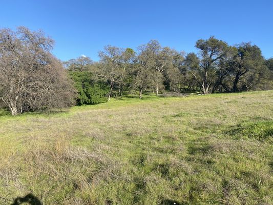 BOULDER RIDGE PARK - Parks - 3555 Park Dr, Rocklin, CA - Phone Number ...