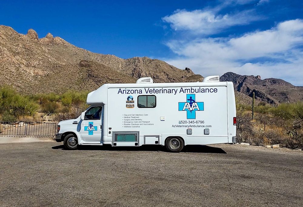 ARIZONA VETERINARY AMBULANCE - Updated October 2025 - 13 Photos ...