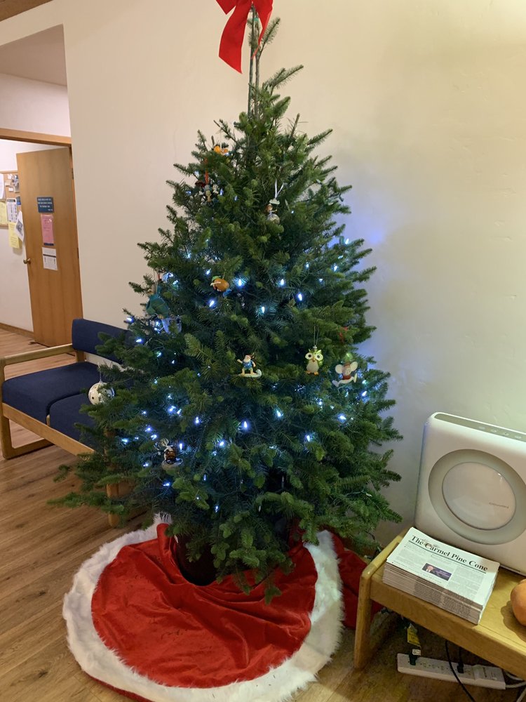 DAMON ANDERSON & ASSOC PHYSICAL THERAPY - Updated December 2024 - 980 ...