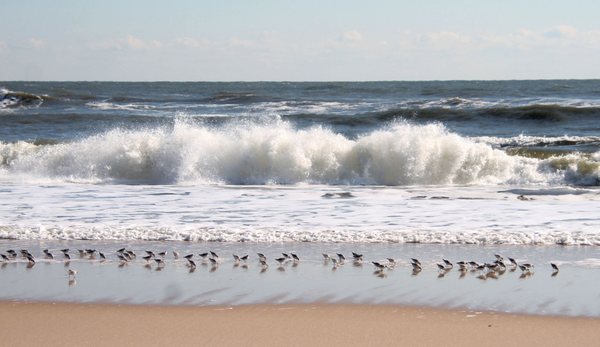 CRYDER BEACH - Updated December 2025 - 17 Cryder Ln, Southampton, New ...