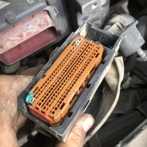 AMERICA’S AUTO AUCTION - Updated October 2024 - 4501 US 77, Robstown ...