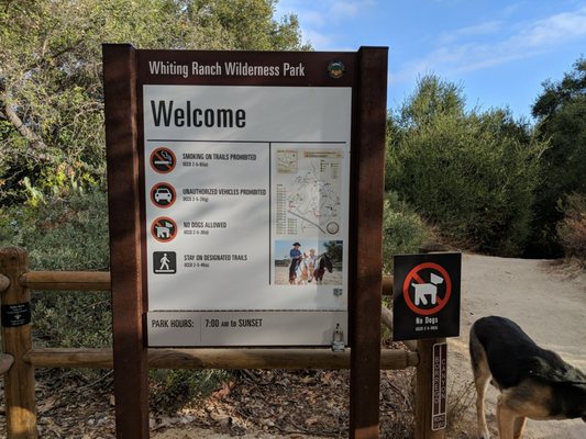 WHITING RANCH WILDERNESS PARK - Updated September 2024 - 66 Photos & 14 ...
