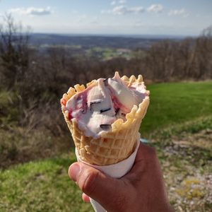 BELLVALE FARMS CREAMERY - 469 Photos & 392 Reviews - Ice Cream & Frozen ...