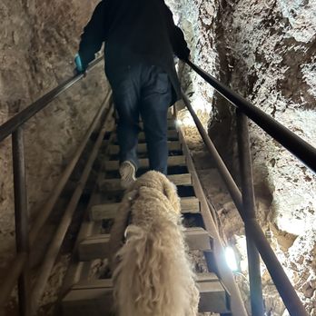 GOOD ENOUGH MINE TOUR - Updated October 2024 - 211 Photos & 109 Reviews ...