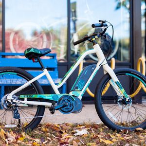 TONKA CYCLE & SKI - Updated December 2025 - 41 Reviews - 416 11th Ave S ...