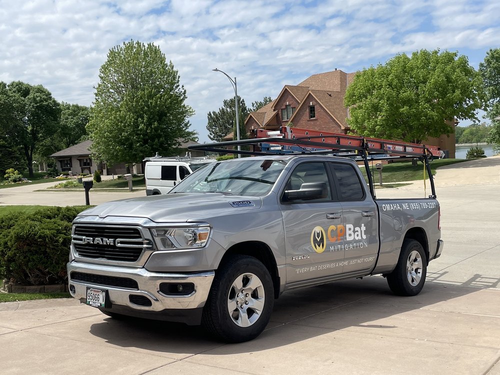 CP BAT MITIGATION - Updated December 2025 - 10 Photos - 1905 Harney St ...