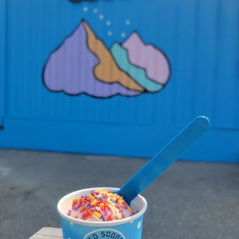 WILD SCOOPS - Updated June 2025 - 15 Photos & 15 Reviews - 717 W 3rd ...