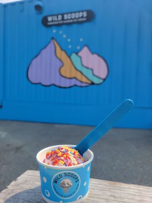 WILD SCOOPS - Updated July 2025 - 23 Photos & 19 Reviews - 717 W 3rd ...