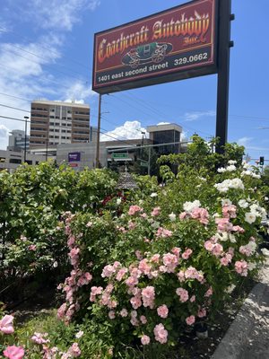 COACHCRAFT AUTOBODY - Updated December 2025 - 53 Photos & 142 Reviews ...