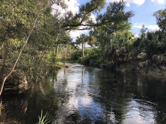 BONITA NATURE PLACE - Updated November 2024 - 57 Photos - 27601 Kent Rd ...