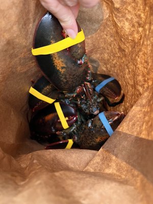 DOCKSIDE SEAFOOD MARKETPLACE - Updated December 2025 - 40 Photos & 77 ...