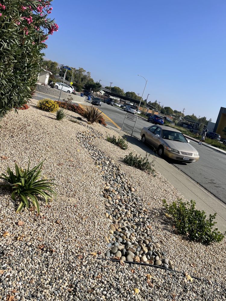 ISMAEL RUIZ LANDSCAPING & GARDENING - 18 Photos - San Jose, California ...