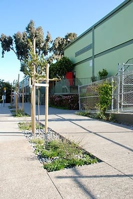 DANIEL WEBSTER ELEMENTARY SCHOOL - Updated October 2025 - 13 Reviews - 465 Missouri St, San ...