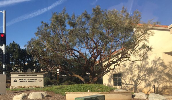 RANCHO SAN DIEGO COUNTY LIBRARY - Updated October 2025 - 29 Photos & 47 ...