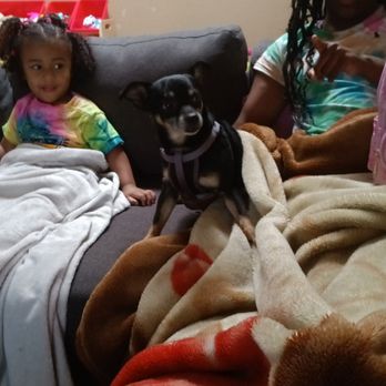 HALO ANIMAL RESCUE - Updated September 2025 - 97 Photos & 175 Reviews ...