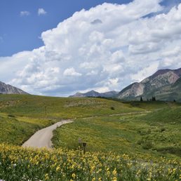 Mike's Camera Reviews | Read Customer Service Reviews of mikescamera.com