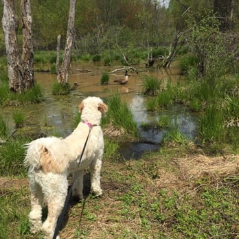 JOE PALAIA PARK - Updated January 2026 - Deal Rd And Whalepond Rd ...