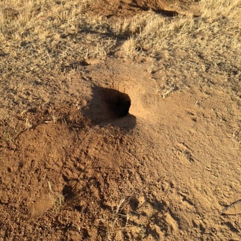 CHALLEN HILL PARK - Updated October 2025 - 43 Photos & 12 Reviews ...