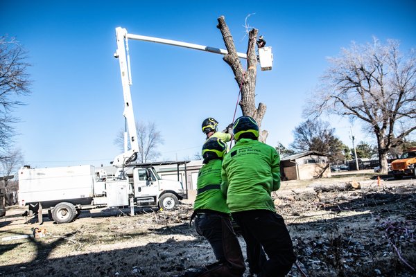 WICHITA TREE SERVICE - Updated January 2026 - 50 Photos & 18 Real ...