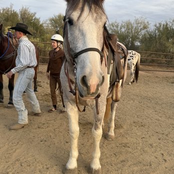 MACDONALD’S RANCH - Updated October 2025 - 532 Photos & 291 Reviews ...