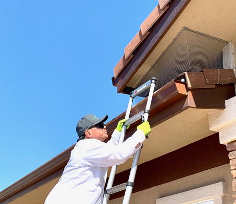 PRO ACTIVE PEST CONTROL - Updated January 2026 - 31 Photos & 218 ...