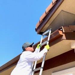 PRO ACTIVE PEST CONTROL - 21 Photos & 127 Reviews - 450 W Larch Road ...