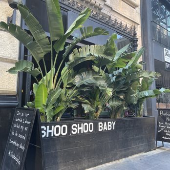 SHOO SHOO BABY - Updated January 2025 - 237 Photos & 210 Reviews - 717 ...
