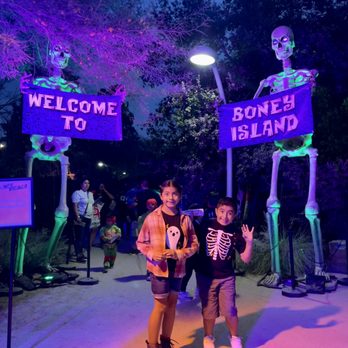 BONEY ISLAND AT NATURAL HISTORY MUSEUM - Updated October 2025 - 136 ...