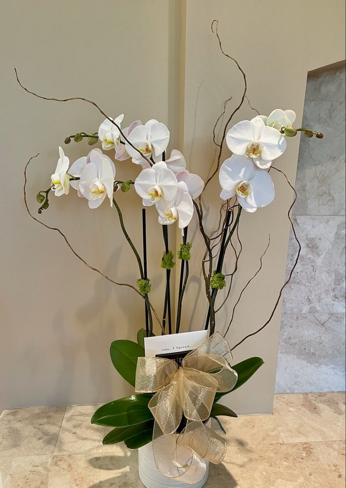 BLOOMIN’ DESIGNS - Updated October 2025 - 35 Photos & 18 Reviews ...