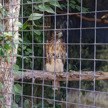 TRACY AVIARY - Updated June 2025 - 529 Photos & 192 Reviews - 589 E ...