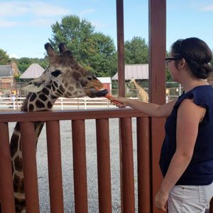 BRIGHT’S ZOO - 62 Photos & 21 Reviews - 3425 Hwy 11 E, Limestone ...