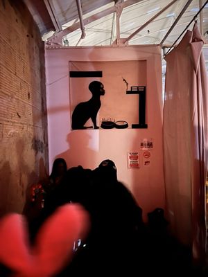 BALD KITTY - Updated January 2026 - 23 Photos & 16 Reviews - 1113 ...