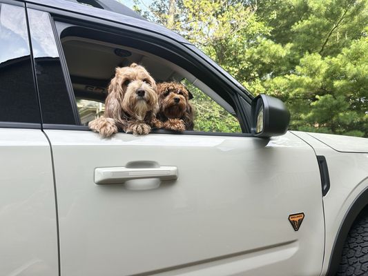 KINGS FORD - Updated October 2025 - 32 Photos & 84 Reviews - 9555 Kings ...