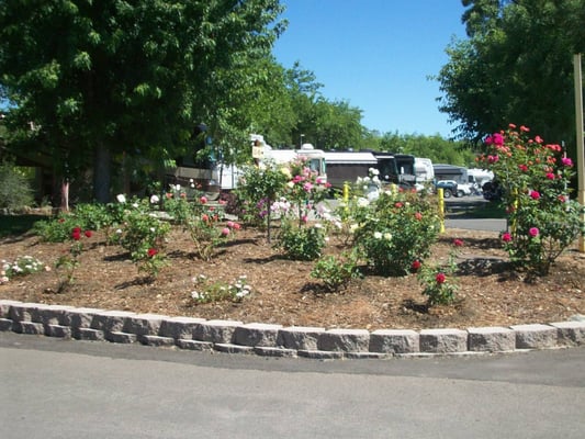 AUBURN GOLD COUNTRY RV PARK - Updated December 2025 - 42 Photos & 46 ...