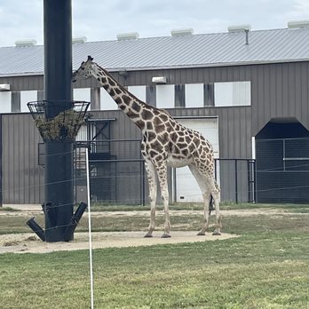 ROLLING HILLS ZOO - Updated February 2026 - 63 Photos & 28 Reviews ...