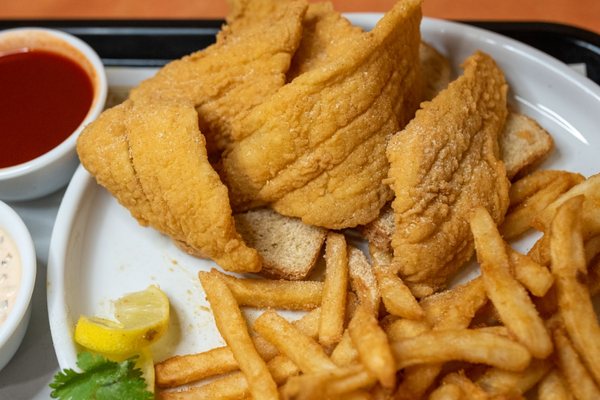SHARKYS CHICKEN & FISH - 293 Photos & 280 Reviews - 1490 Alamo Dr ...
