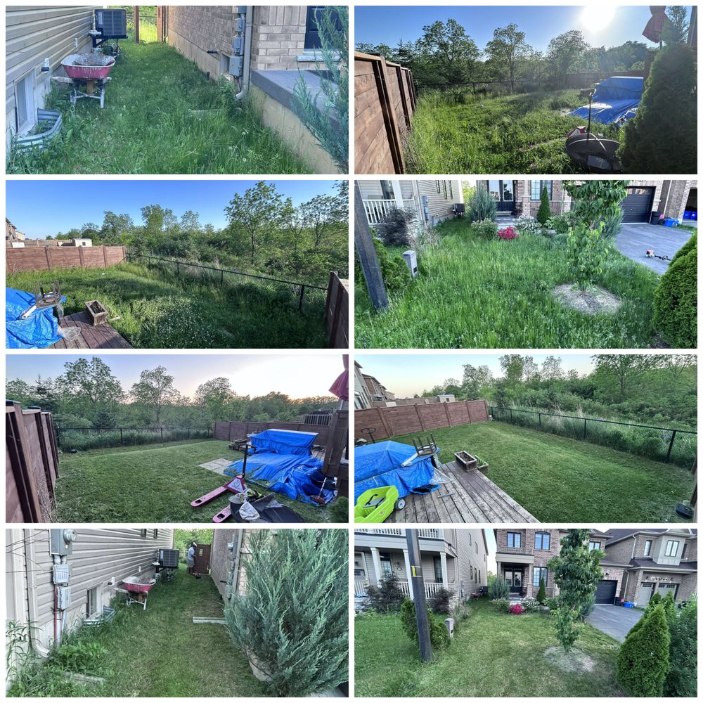 RESTORATIVE ROOTS - Updated October 2024 - Request a Quote - Caledonia ...