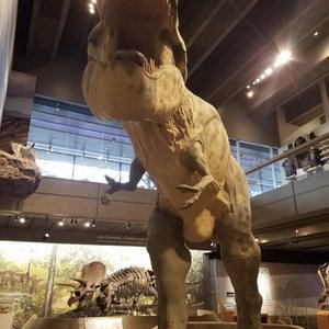 MUSEUM OF SCIENCE - 1168 Photos & 704 Reviews - Museums - 1 Science ...