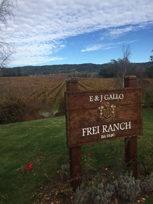 FREI BROTHERS WINERY - Updated December 2025 - 3387 Dry Creek Rd ...