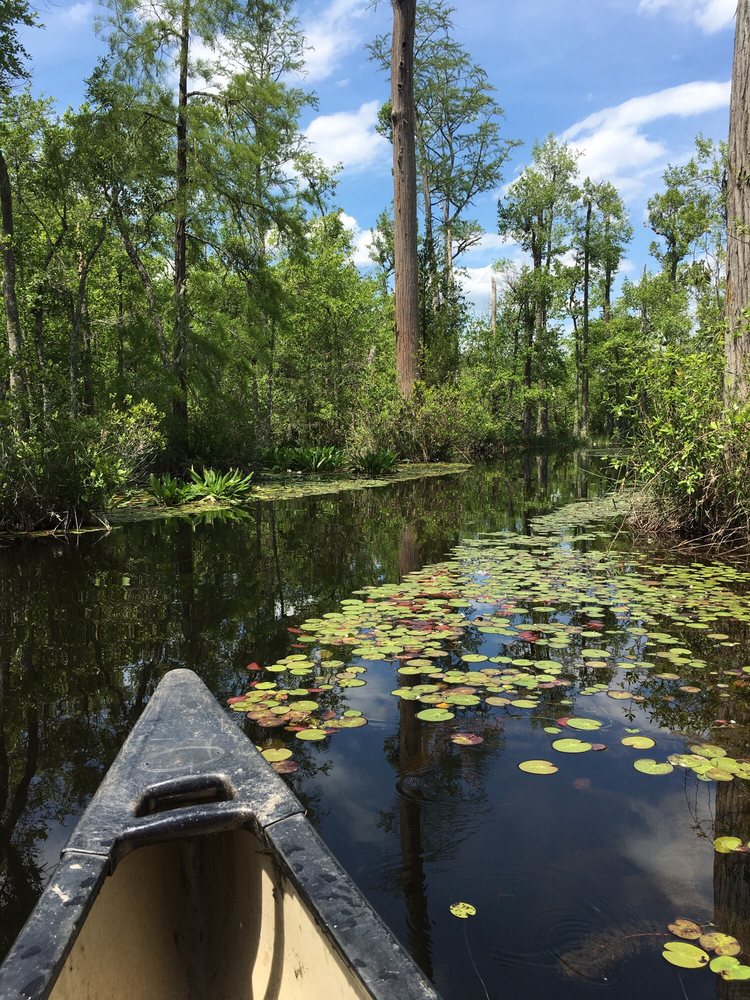 GOODALE STATE PARK - Old Wire Rd, Camden, South Carolina - Parks ...