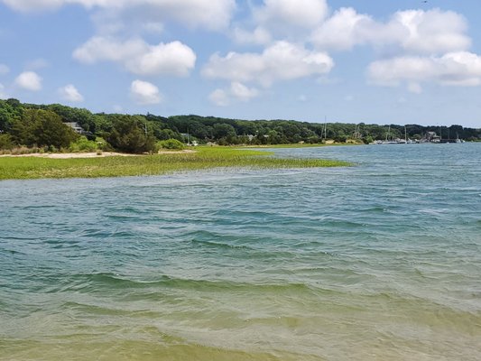 MAIDSTONE BEACH - Updated June 2024 - 14 Photos - Maidstone Park Rd ...