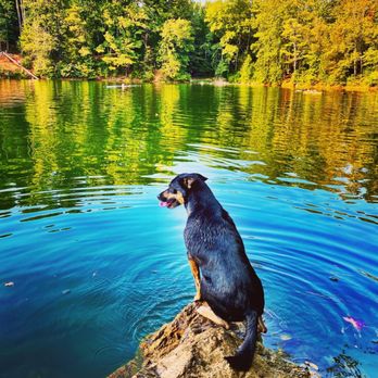 ENO QUARRY - Updated October 2025 - 54 Photos & 11 Reviews - 4955 Howe ...